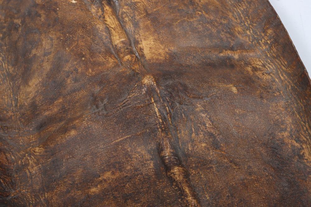 Very Large Hippo Hide Shield of the Nuer and Shilluk Tribes from the ...