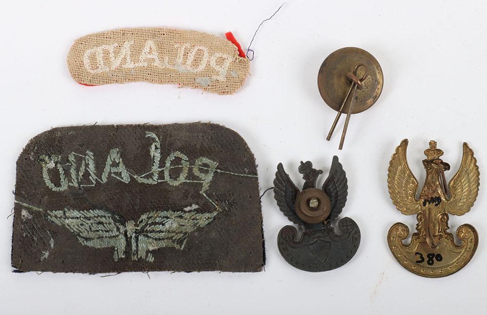 WW2 Polish Badge and Insignia Grouping